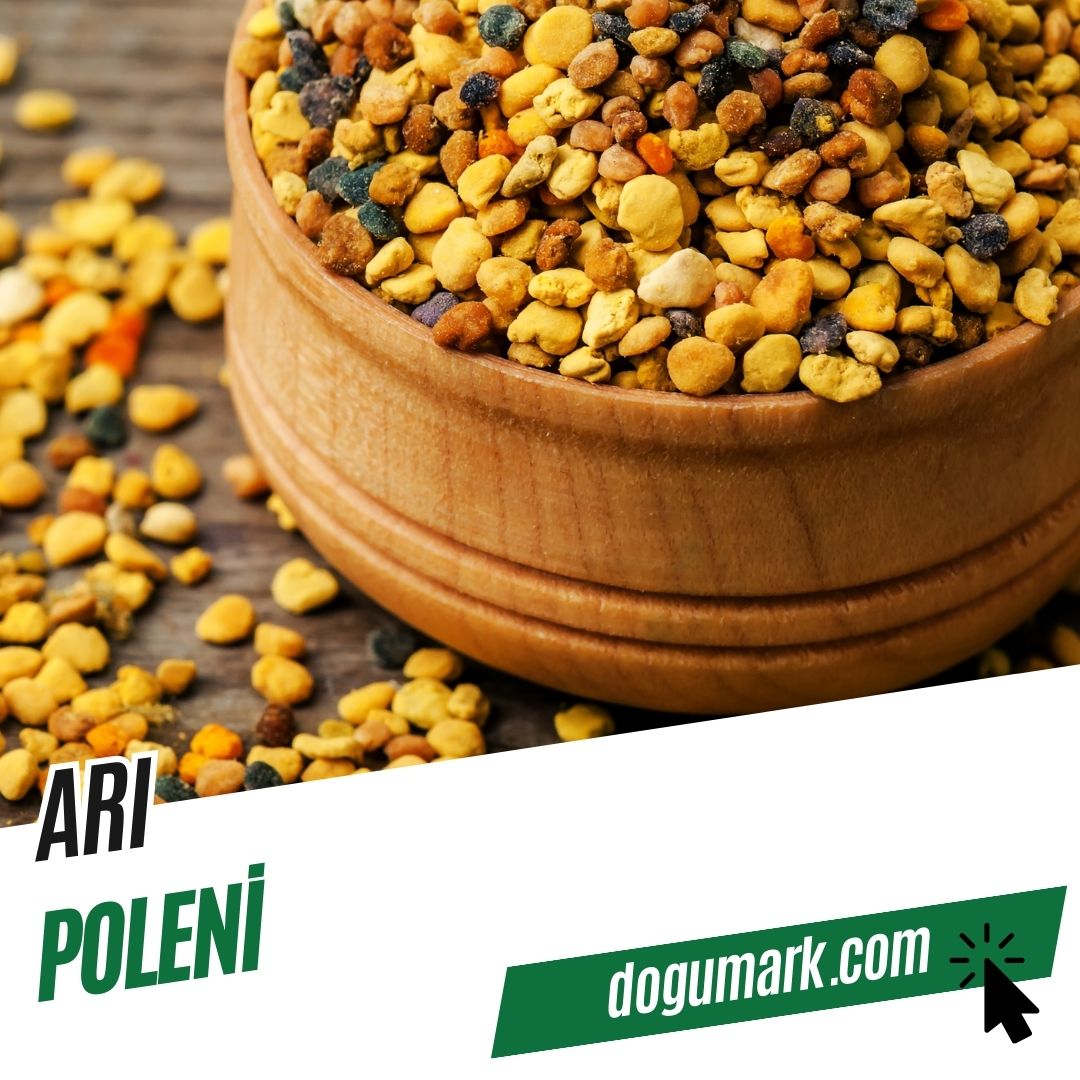 İletişim - DoğuMark