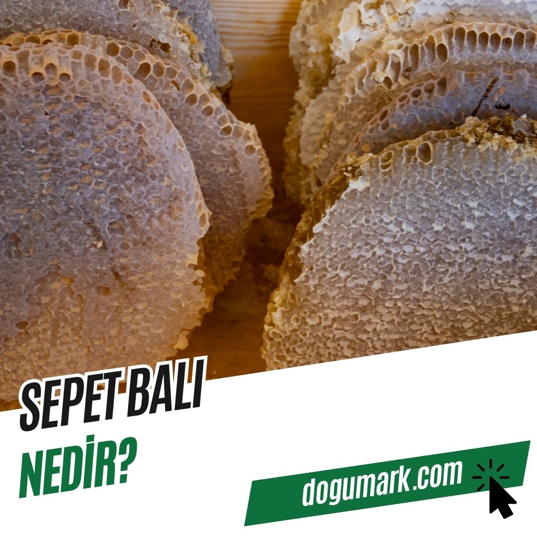Sepet Balı Nedir? - DoğuMark