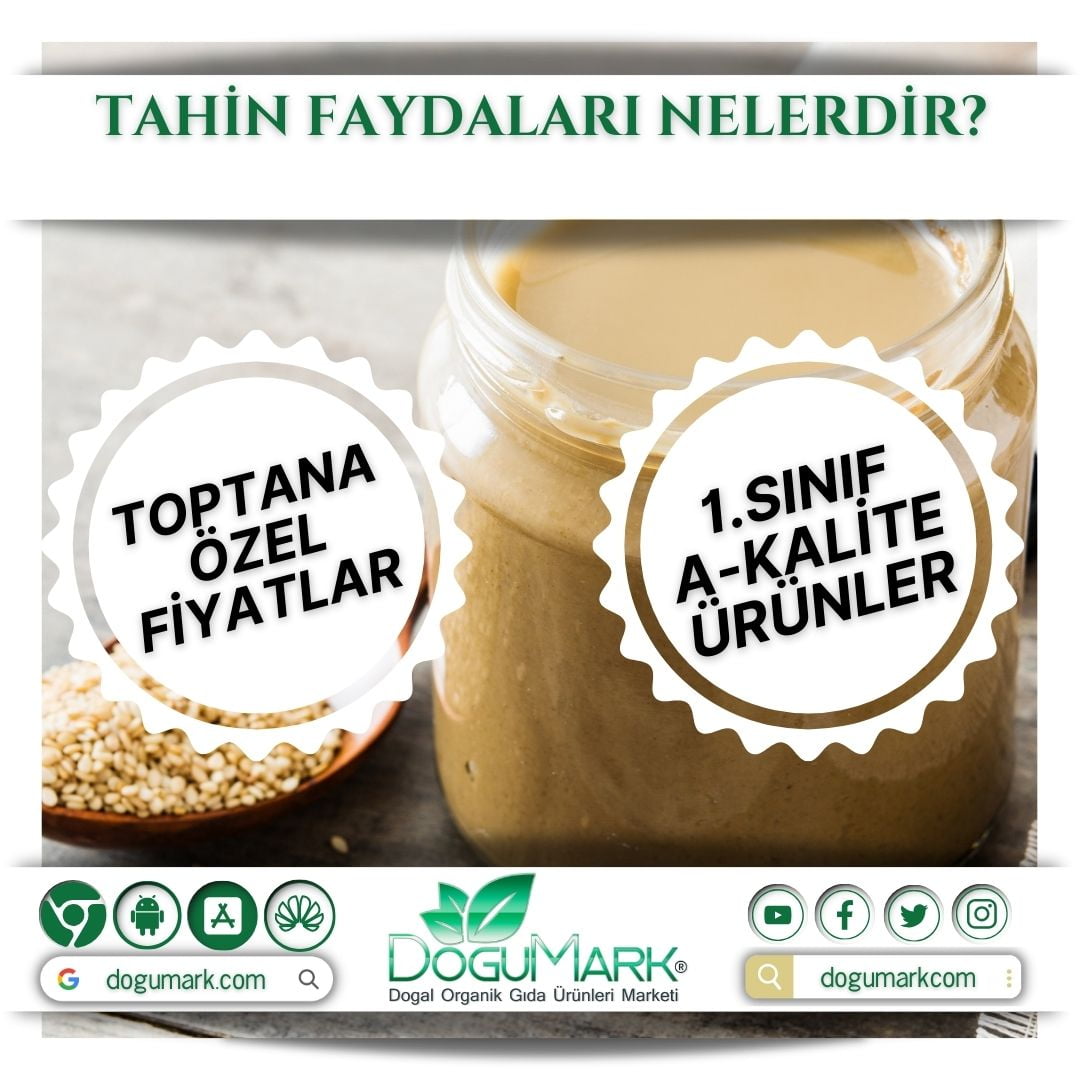 Tahin Faydaları Nelerdir? - DoğuMark