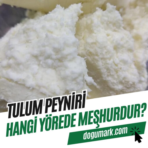Tulum Peyniri Hangi Yörede Meşhurdur? - DoğuMark Tulum Peyniri Hangi Yörede Meşhurdur? - DoğuMark