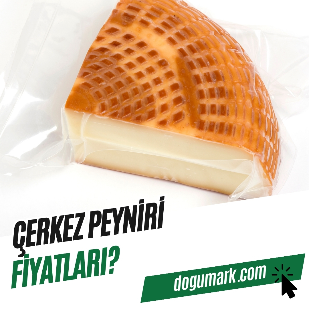 Çerkez Peyniri Fiyatları? - DoğuMark