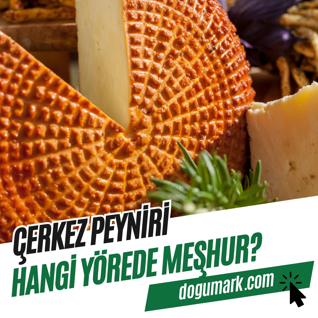 Çerkez Peyniri Hangi Yörede Meşhur? - DoğuMark