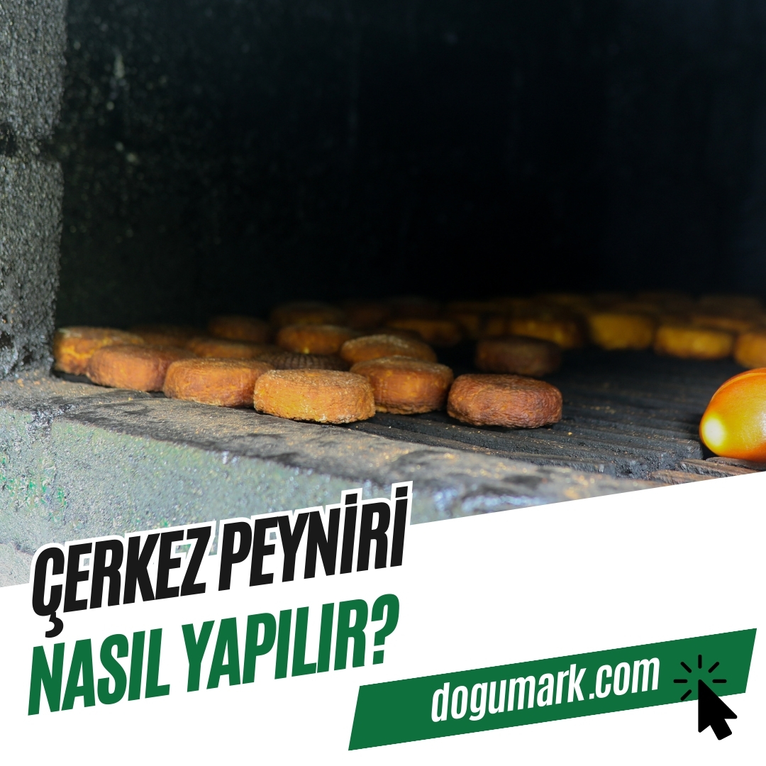 Çerkez Peyniri Nasıl Yapılır? - DoğuMark