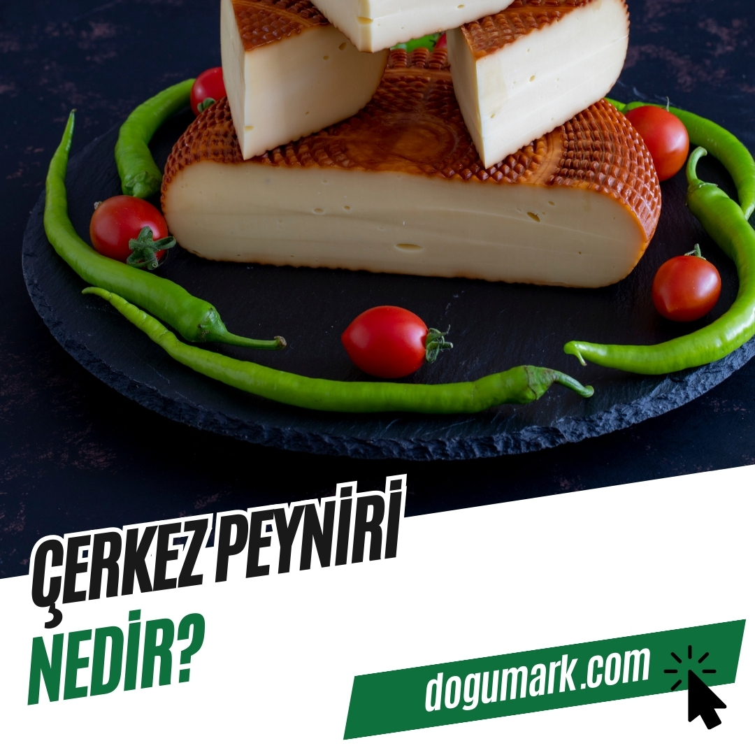 Çerkez Peyniri Nedir? - DoğuMark