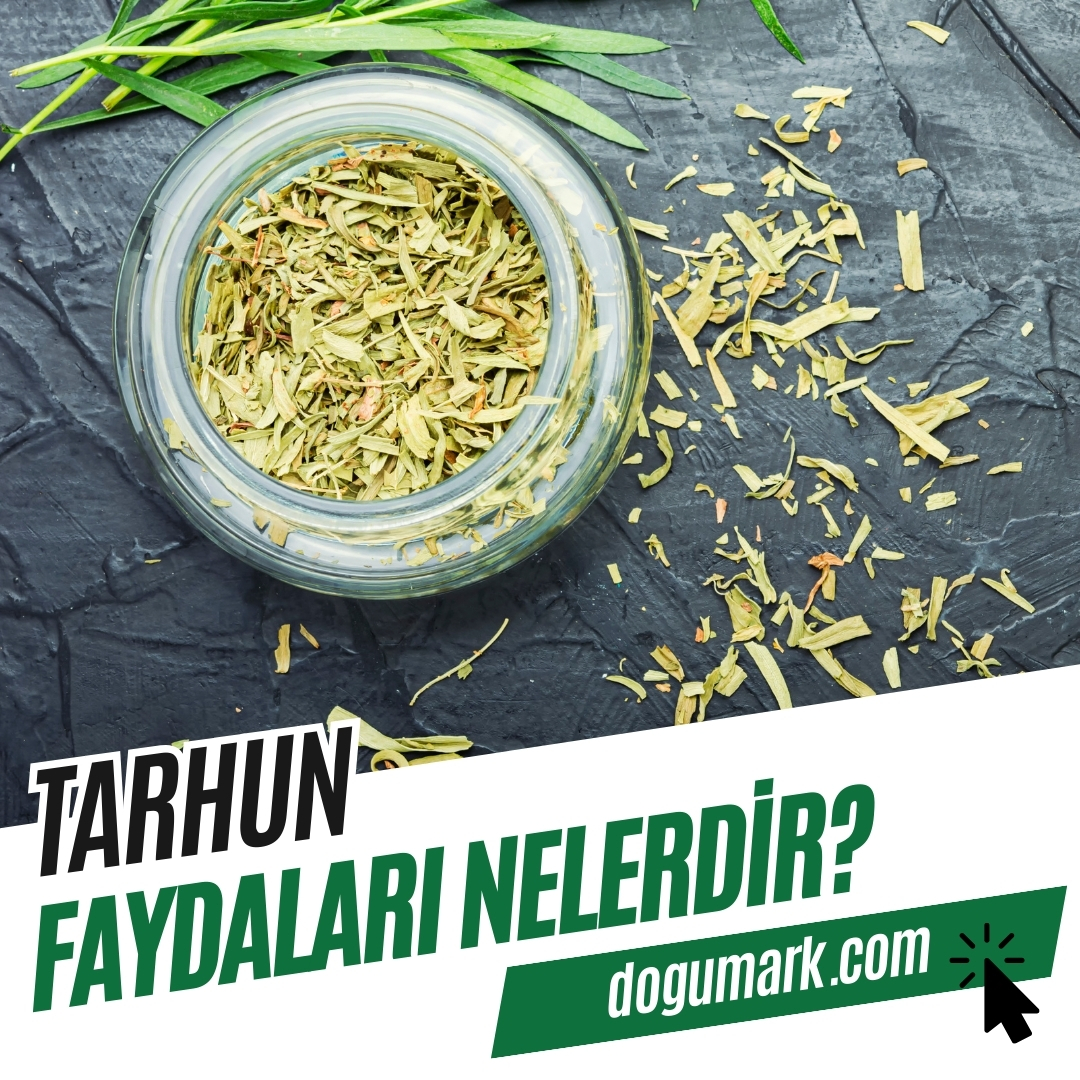 Tarhun Faydaları Nelerdir? - DoğuMark