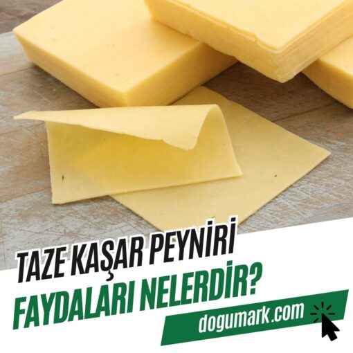Taze Kaşar Peyniri Faydaları Nelerdir? - DoğuMark