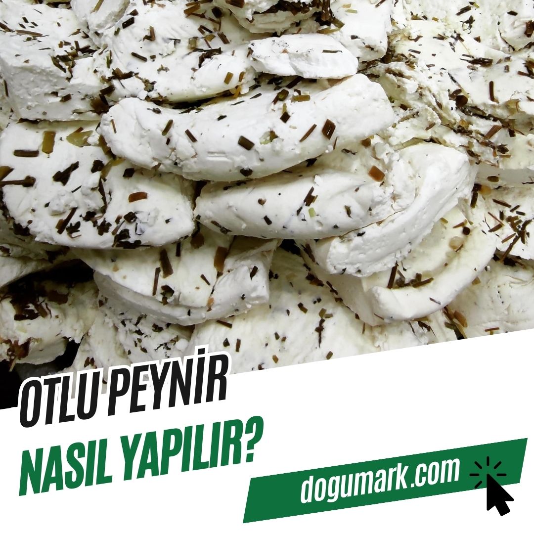 Otlu Peynir Nasıl Yapılır? - DoğuMark