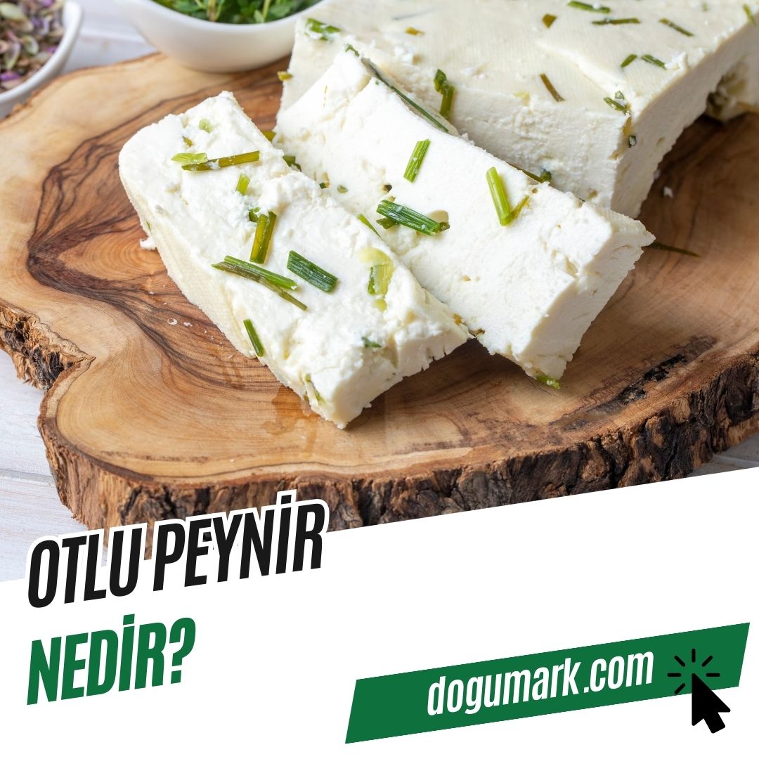 Otlu Peynir Nedir? - DoğuMark